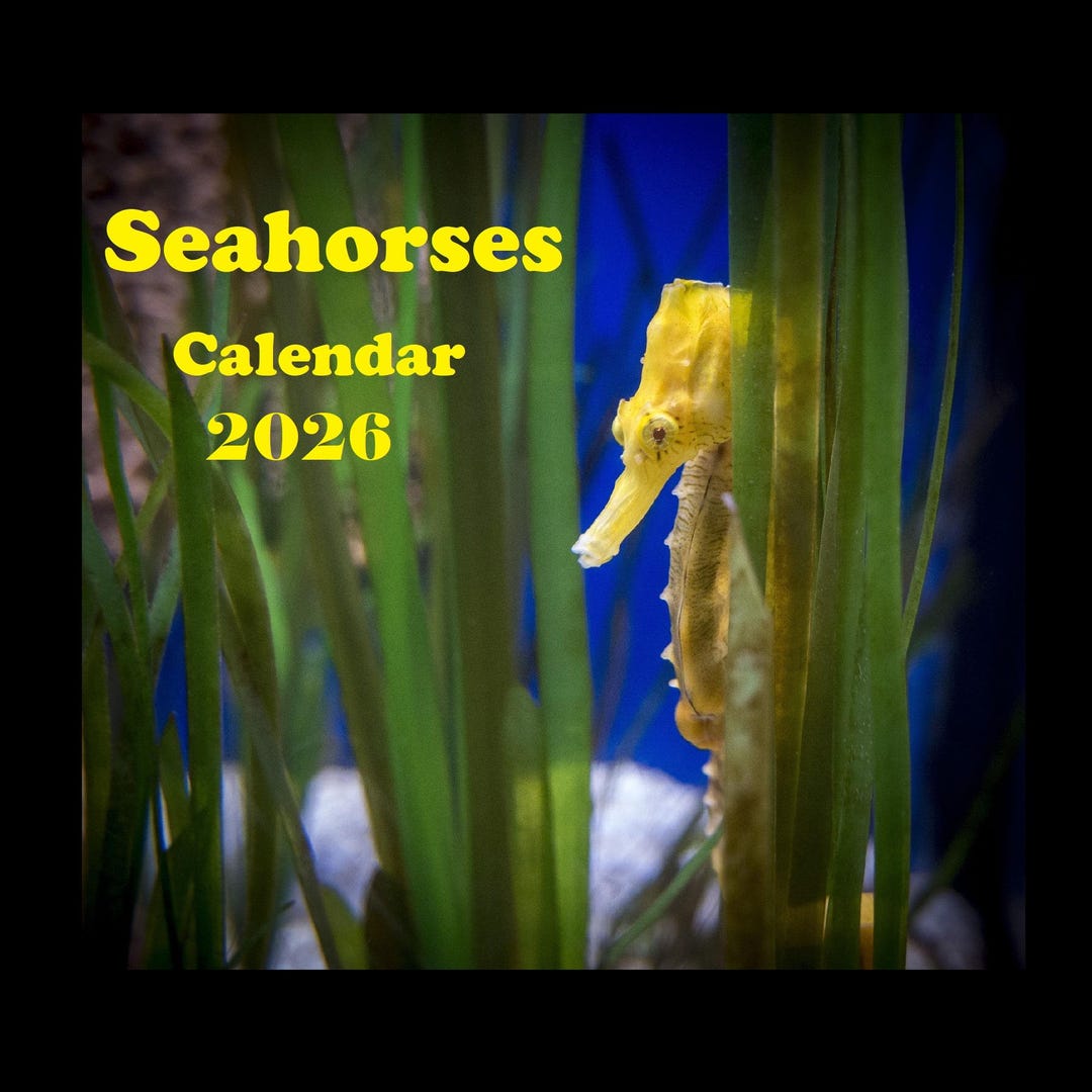 Seahorse Calendar 2026 Sea Horses Planner Sea Life Calendar Coral Reef ...