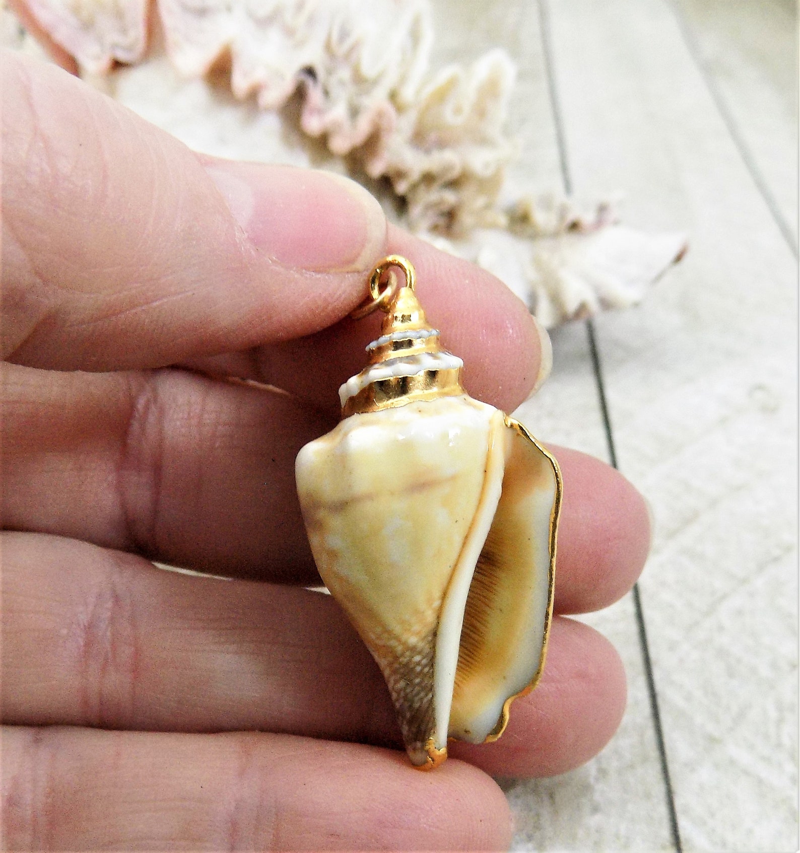 Colgante de concha dorada Concha real Joyería de verano | Etsy
