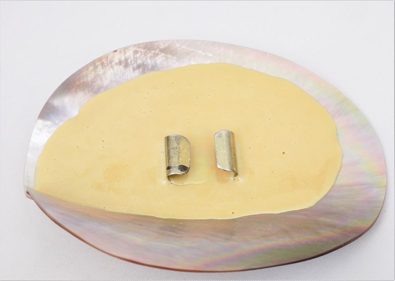 Limpet Shell Bolo Tie Sea Shell Large Aquatic Vintage Bolo - Etsy