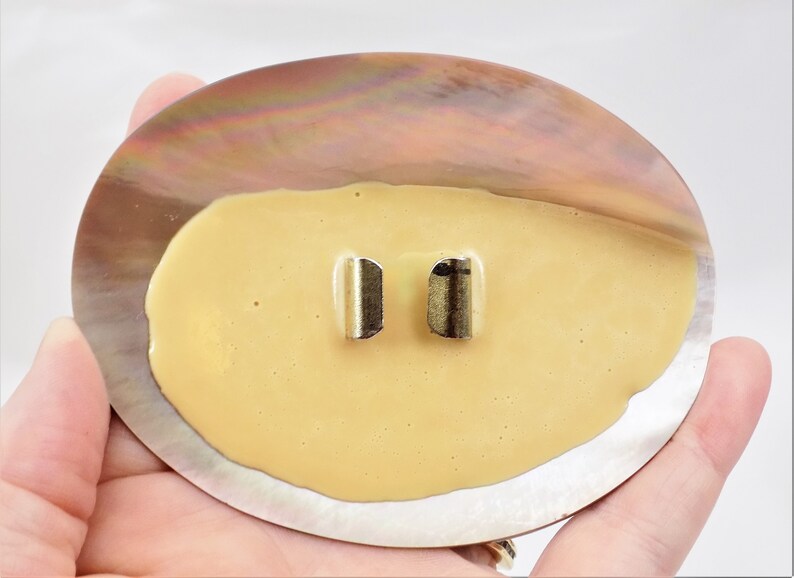 Limpet Shell Bolo Tie Sea Shell Large Aquatic Vintage Bolo - Etsy