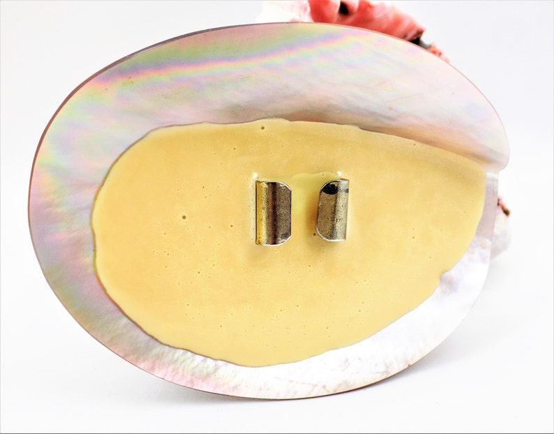 Limpet Shell Bolo Tie Sea Shell Large Aquatic Vintage Bolo - Etsy