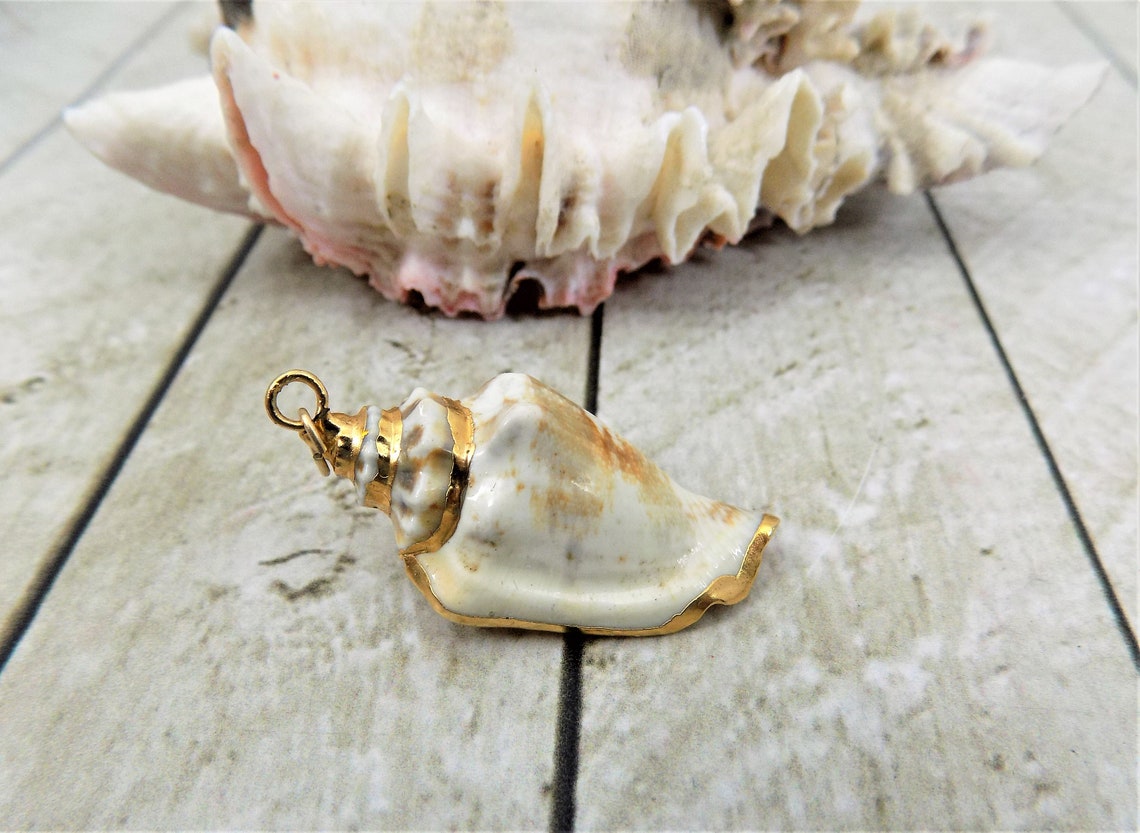 Colgante de concha dorada Concha real Joyería de verano | Etsy