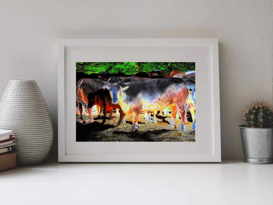 Photography, Cows on Fire, Digital Work, Cattle - Etsy
