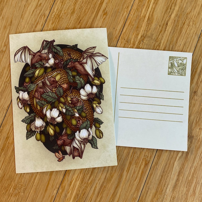 Bat Print Pack 5 Illustrated Small Art Prints 5x7 - Etsy