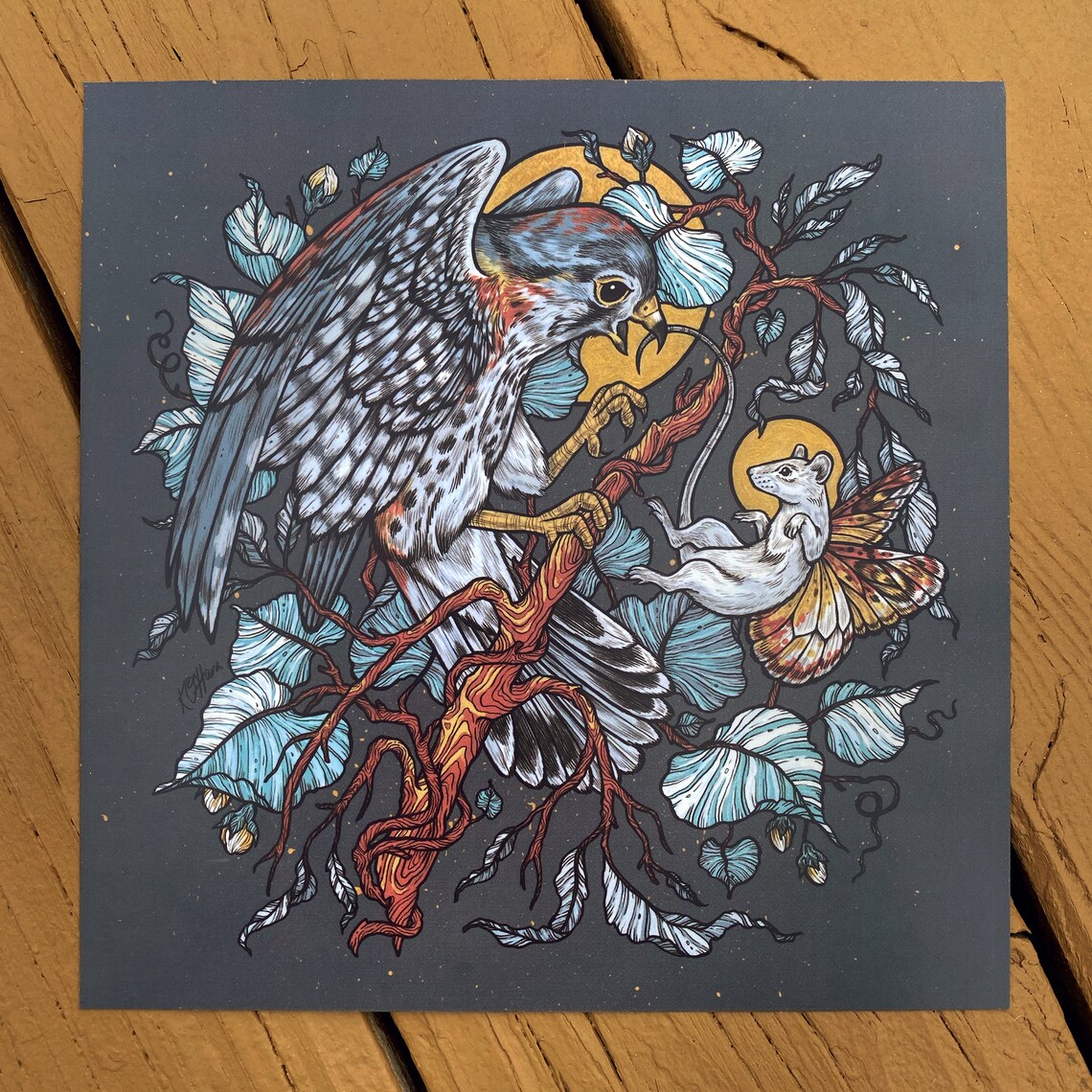 Hawk Art Print Messenger Illustration 8x8 Art Print Bird - Etsy