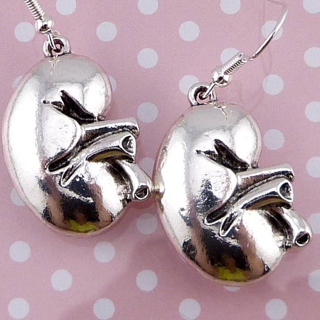 Kidney Earrings, Organs, Kidney Disease, Dialysis, Transplant ...