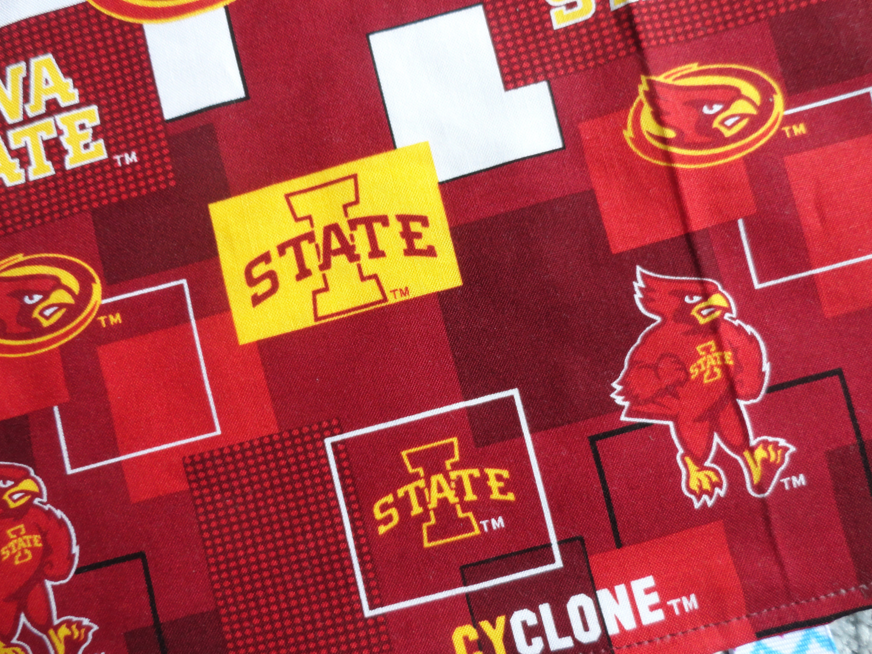 Iowa State University/Iowa State University Sensory Lovey/Iowa | Etsy