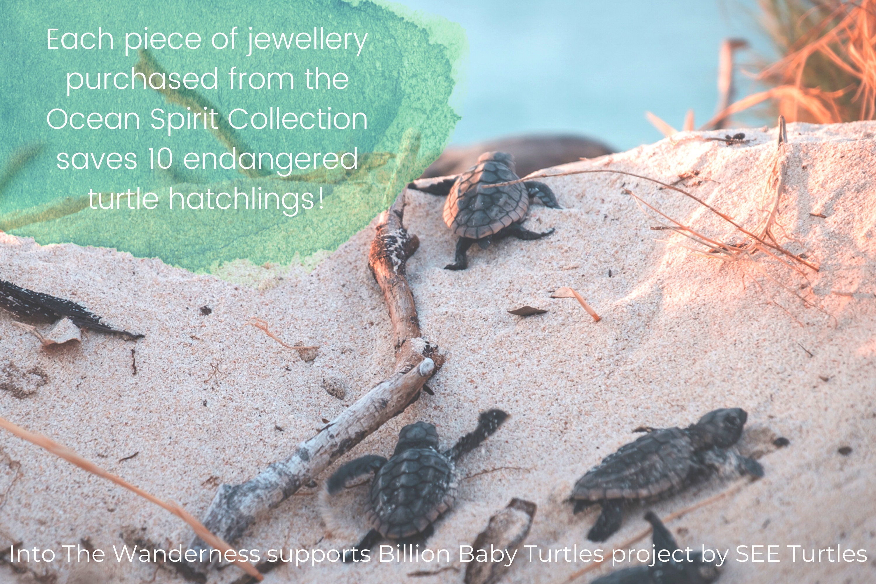 Sea Turtle Paua Pendant Handcrafted Artisan Silver Abalone | Etsy