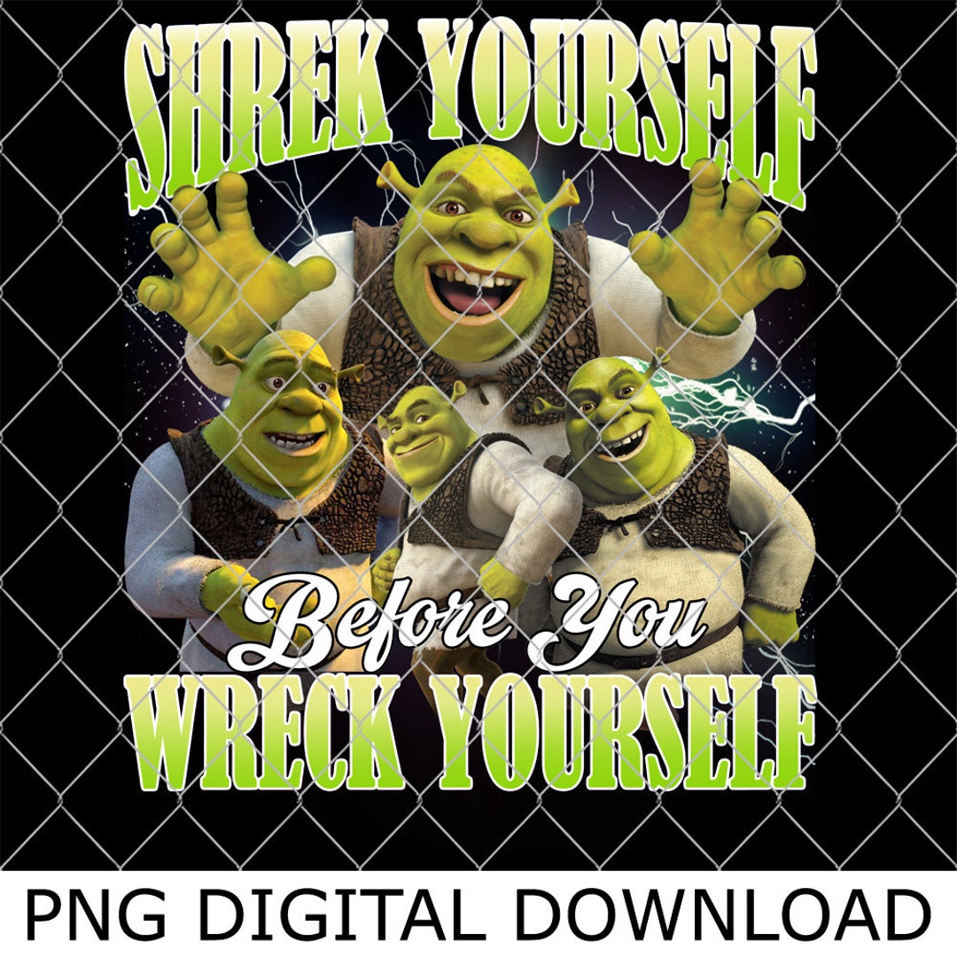 Shrek Meme Png, Shrek Yourself Before You Wreck Yourself Png, Fiona ...