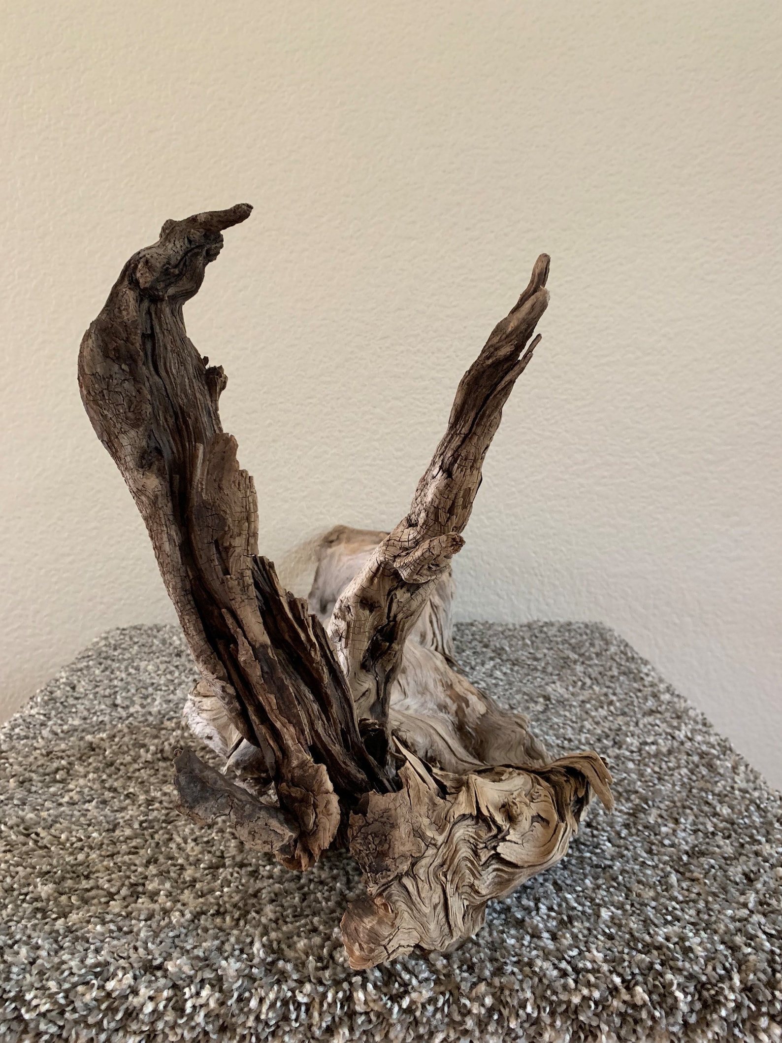 Twisted Flame - Etsy