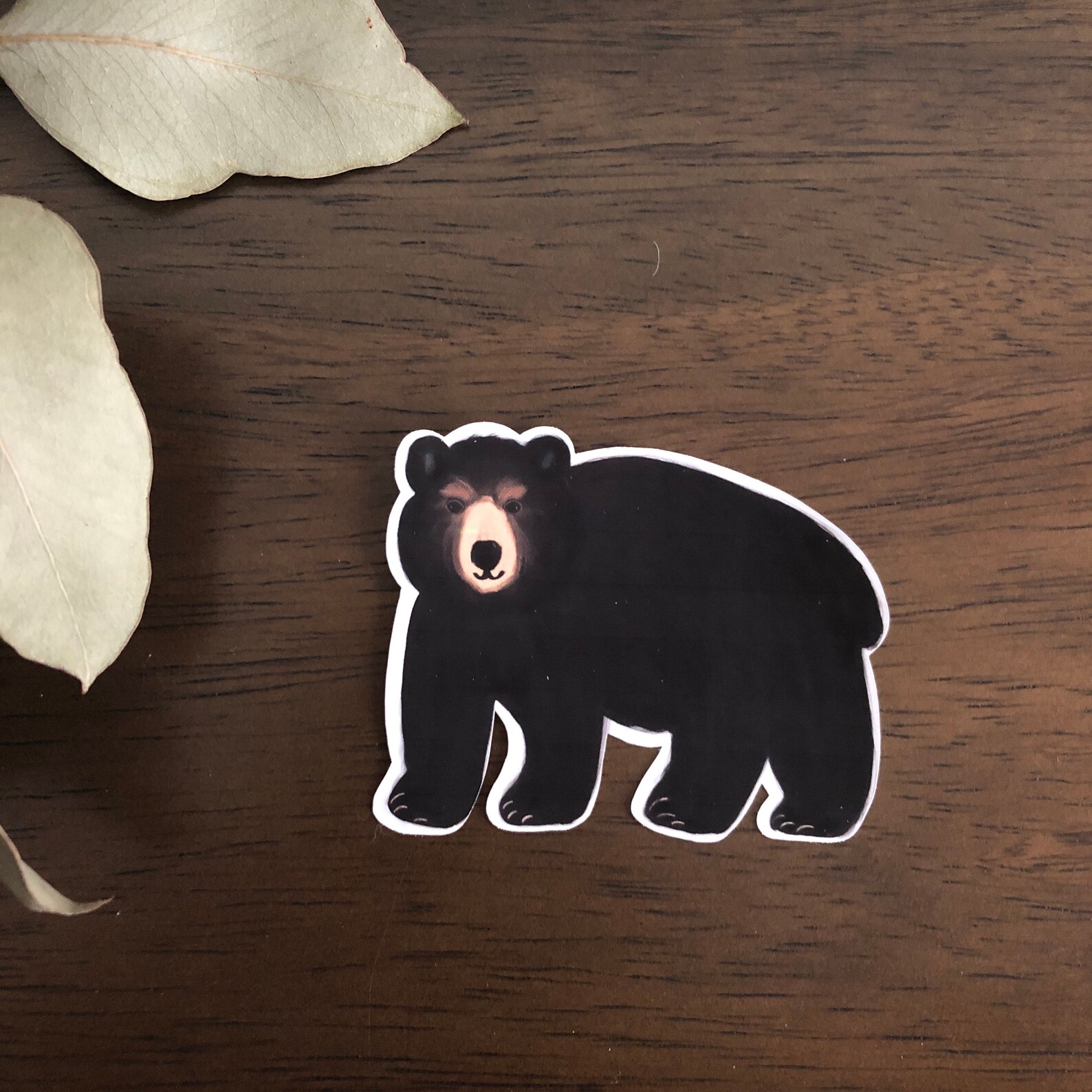 Black Bear Vinyl Sticker Black Bear Sticker Bear Sticker | Etsy
