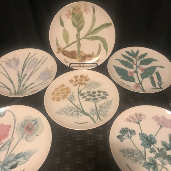 Botanical Plates - Etsy