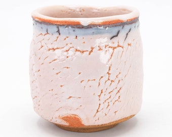 Japanese Tea Cup 150ml Pampas Grass Design by Kato Juemon Shino Ware E ...