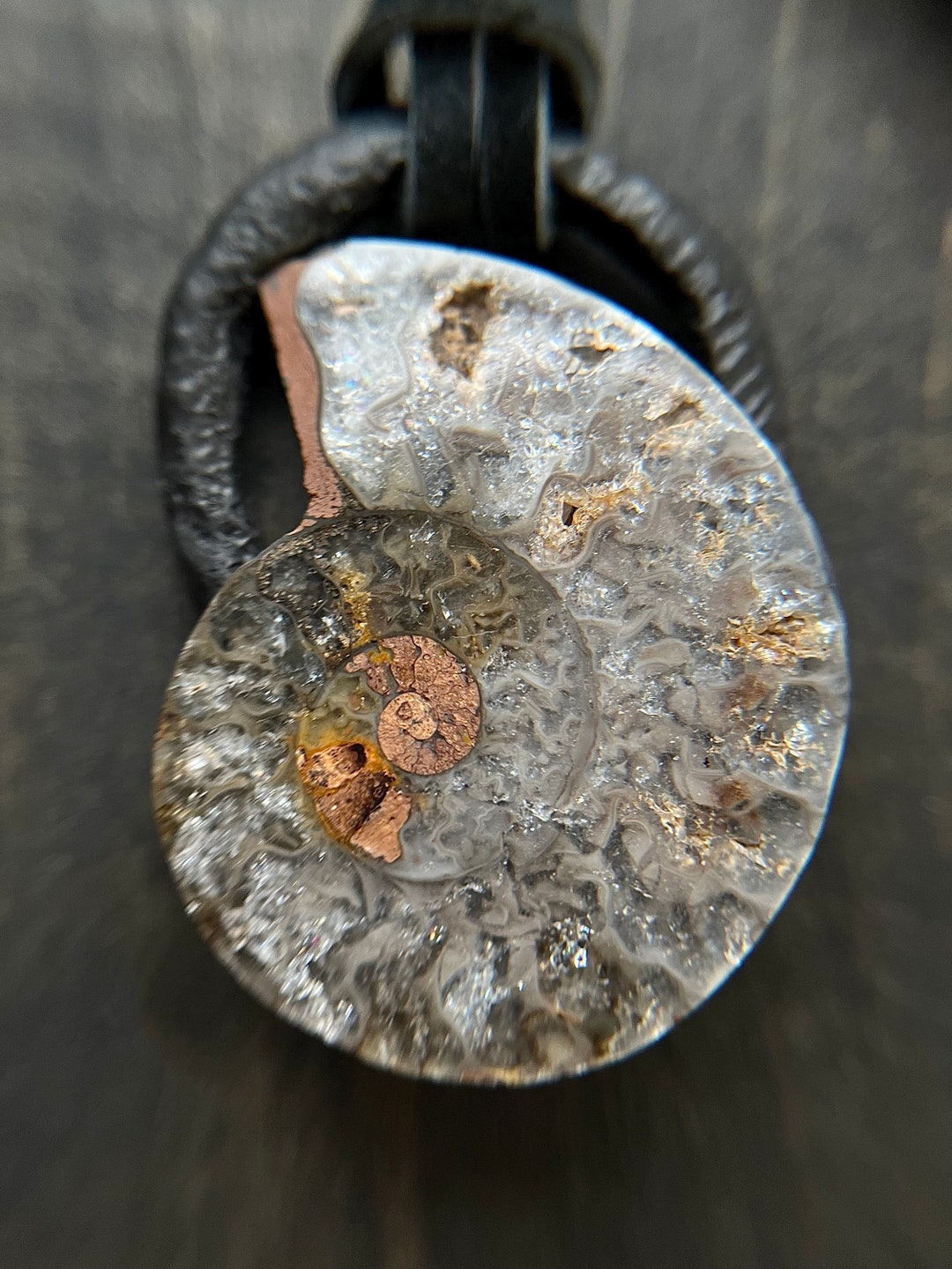 Pink / Black Ammonite Fossil Pendant - Etsy