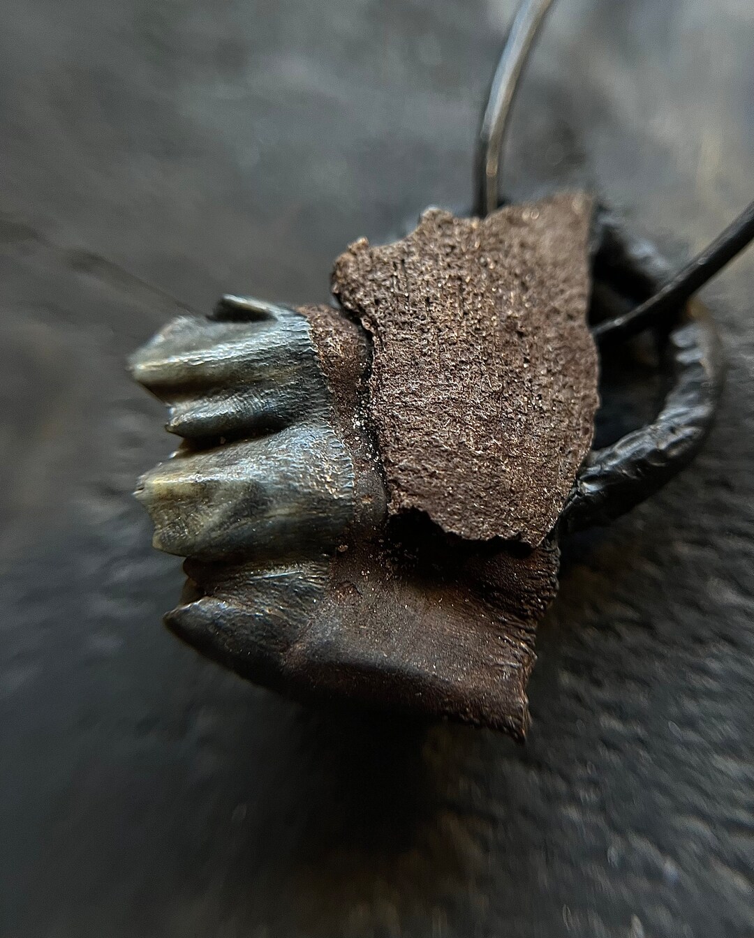 Fossilized Mammoth Age Deer Jaw Pendant SIGIL BLVCK - Etsy