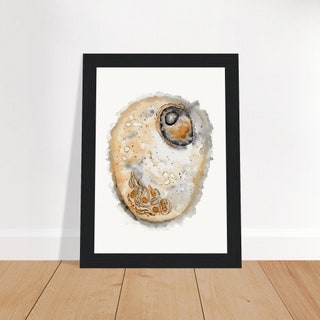 Ontogenie - Etsy