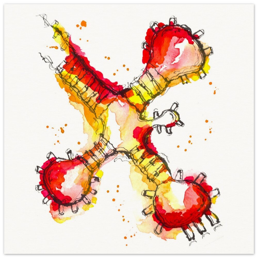 Trna transfer RNA_ Molecule Poster Science Art Print Wall Decor for ...