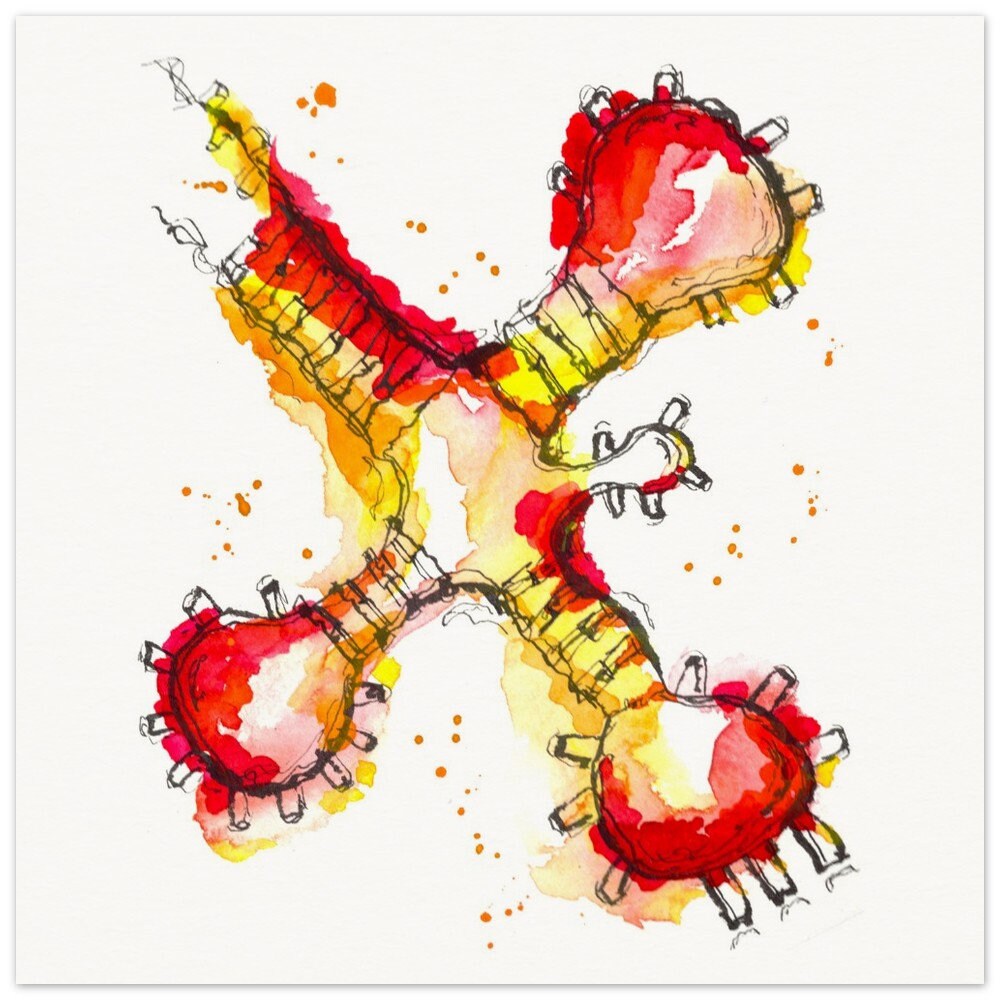 Trna transfer RNA_ Molecule Poster Science Art Print Wall Decor for ...