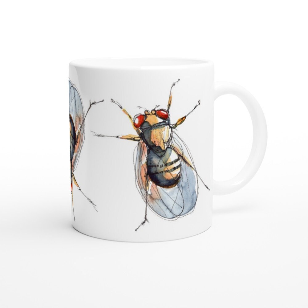 Drosophila Fruit Fly Mug - Science Drinkware, Gift for Scientist ...