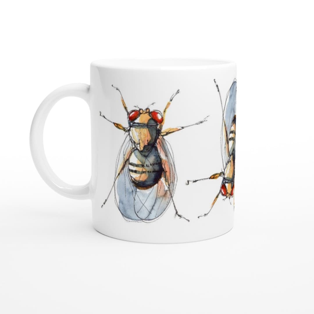 Drosophila Fruit Fly Mug - Science Drinkware, Gift for Scientist ...