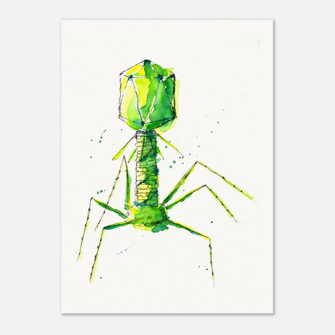 Bacteriophage Poster Science Art Print Wall Decor for Scientist - Etsy
