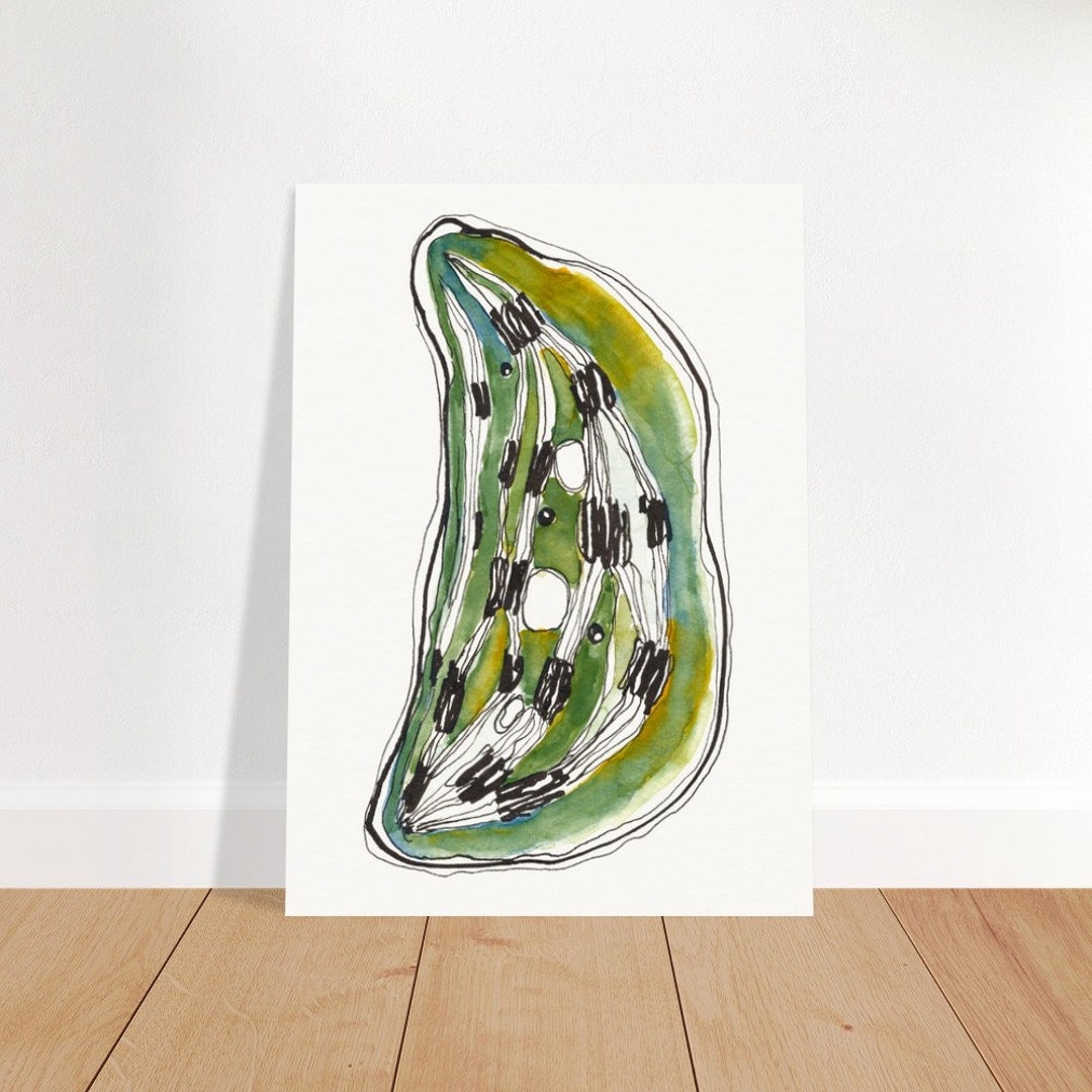 Chloroplast Print Science Art Print Wall Decor for Scientists - Etsy