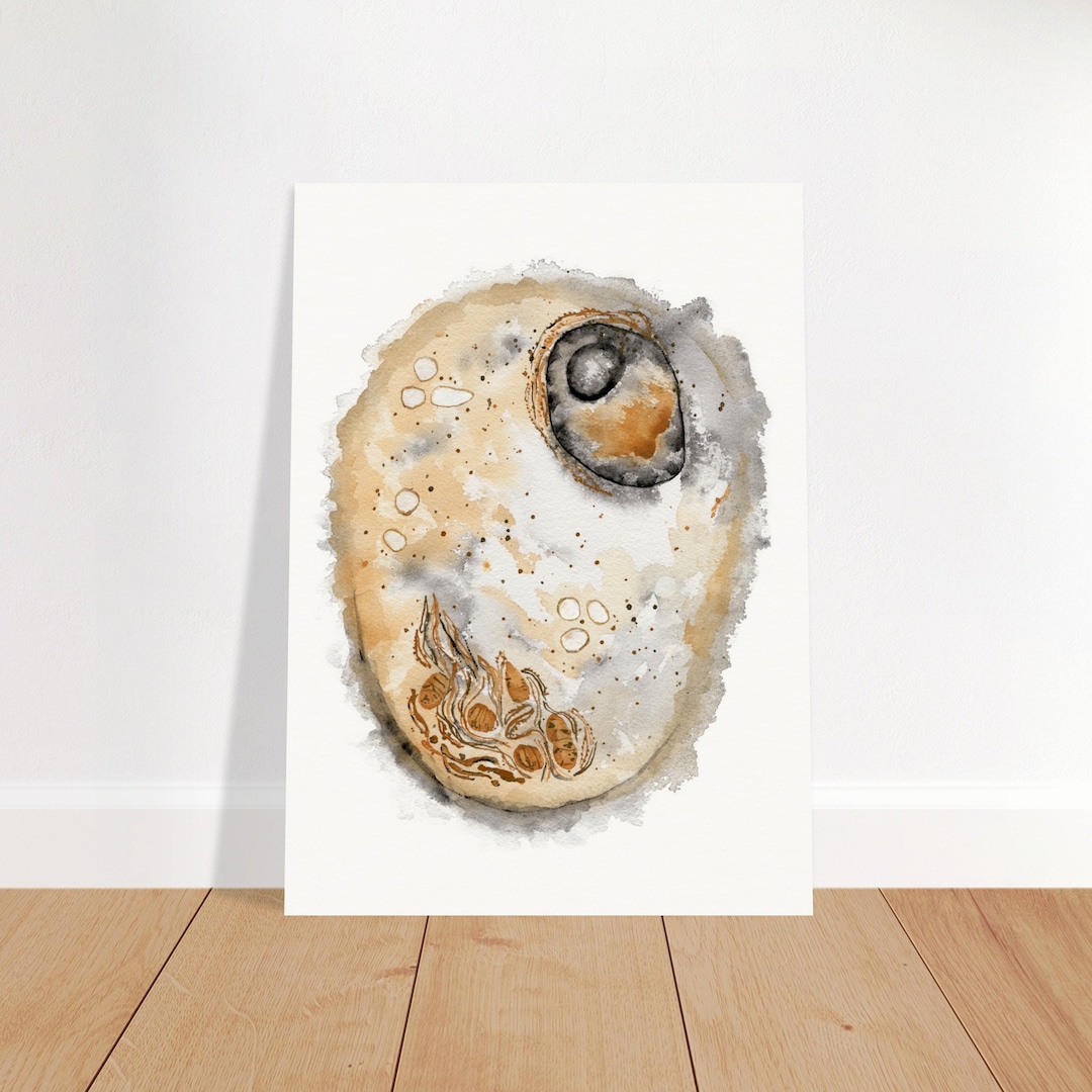 Animal Cell Art Print - Science Wall Art, Gift for Scientist, Cell ...