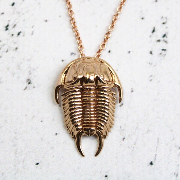 Trilobite Pendant - Etsy