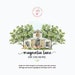Farmhouse Logo, White Barn Logo, Barn Logo, Logo Design, Premade Logo ...