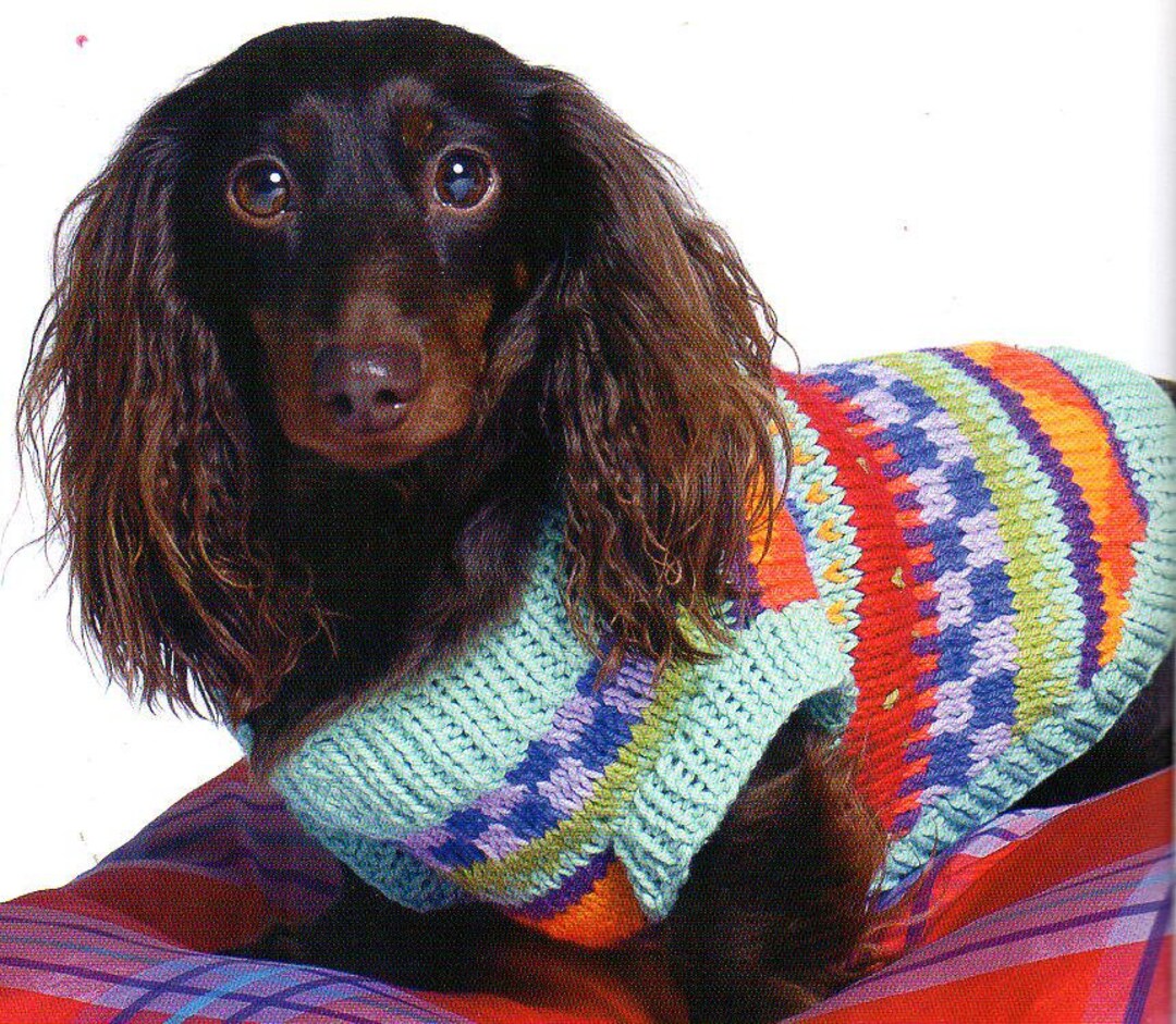 Fair Isle Dog Sweater Coat Knitting Pattern Full Coverage Small Med ...