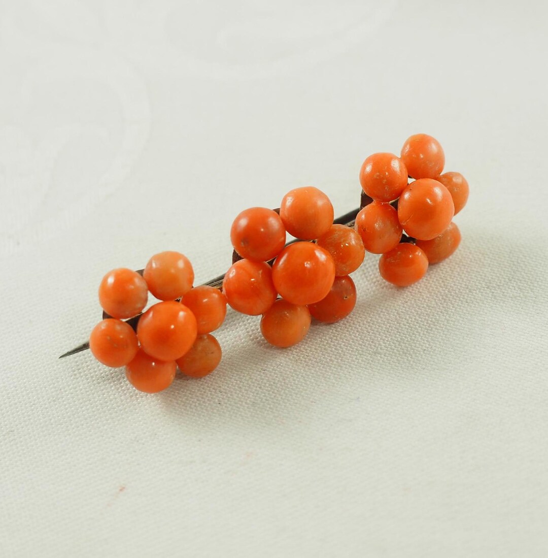 Antique Victorian Natural Mediterranean Coral Brooch, Forget Me Not ...