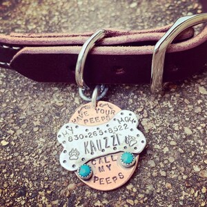 Custom Turquoise Dog Tag, Dog ID, Dog Identification, Bronze & Silver ...