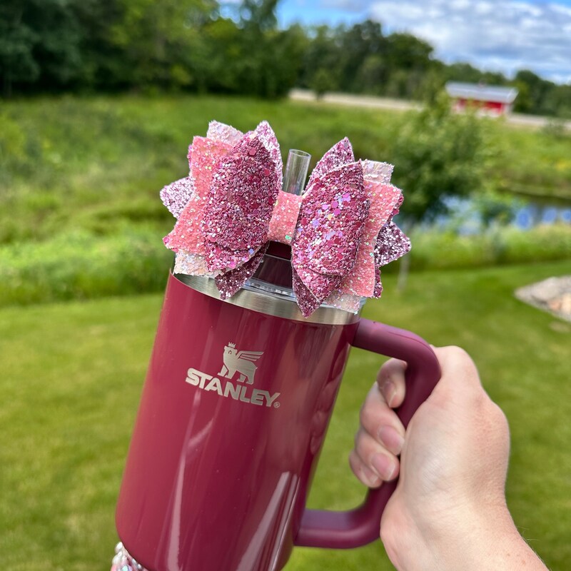 Cherry Stanley Cup - Etsy