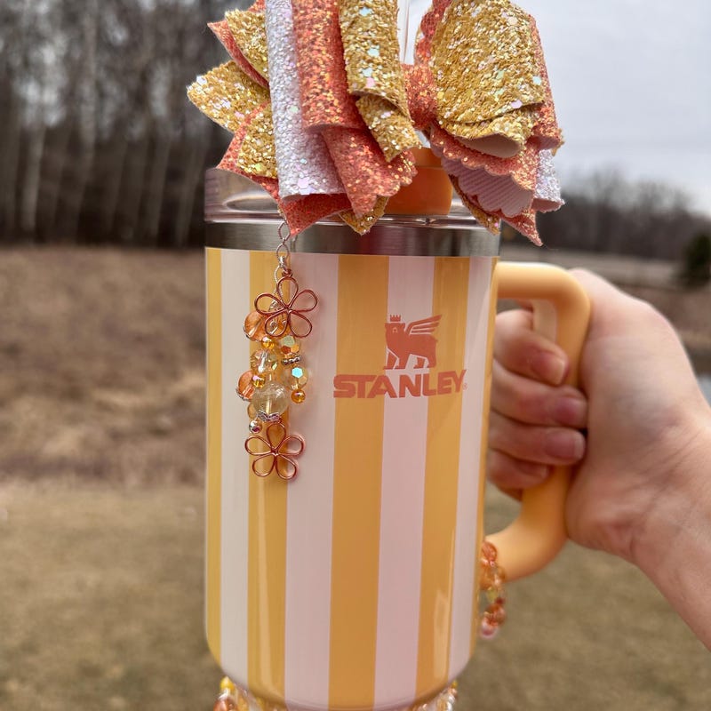 Mini Stanley Cups - Etsy