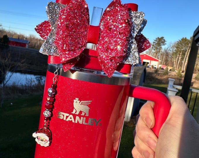 Red Delicious Elf Stanley Straw Bow - Etsy