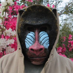 Mandrill Mask, Cercocebus Mangabeys, Primate Mask, Monkey Mask ...