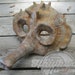 Handmade Seahorse Mask, Costume Masquerade Mask - Etsy