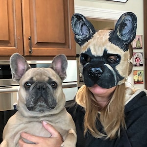 French Bulldog, Frenchie, Show Dog Costume Mask, American Gentleman ...