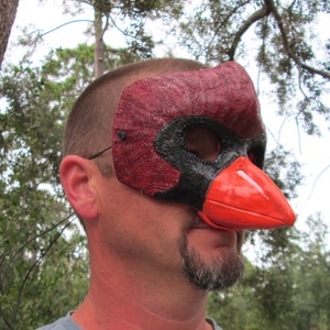 Redbird, Cardinal Mask, Halloween Mask, Red Bird, Cardinals, Adult Bird ...