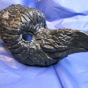 Raven, Realistic, Black Raven Mask, Nevermore, Poe, Black Bird, Crow ...
