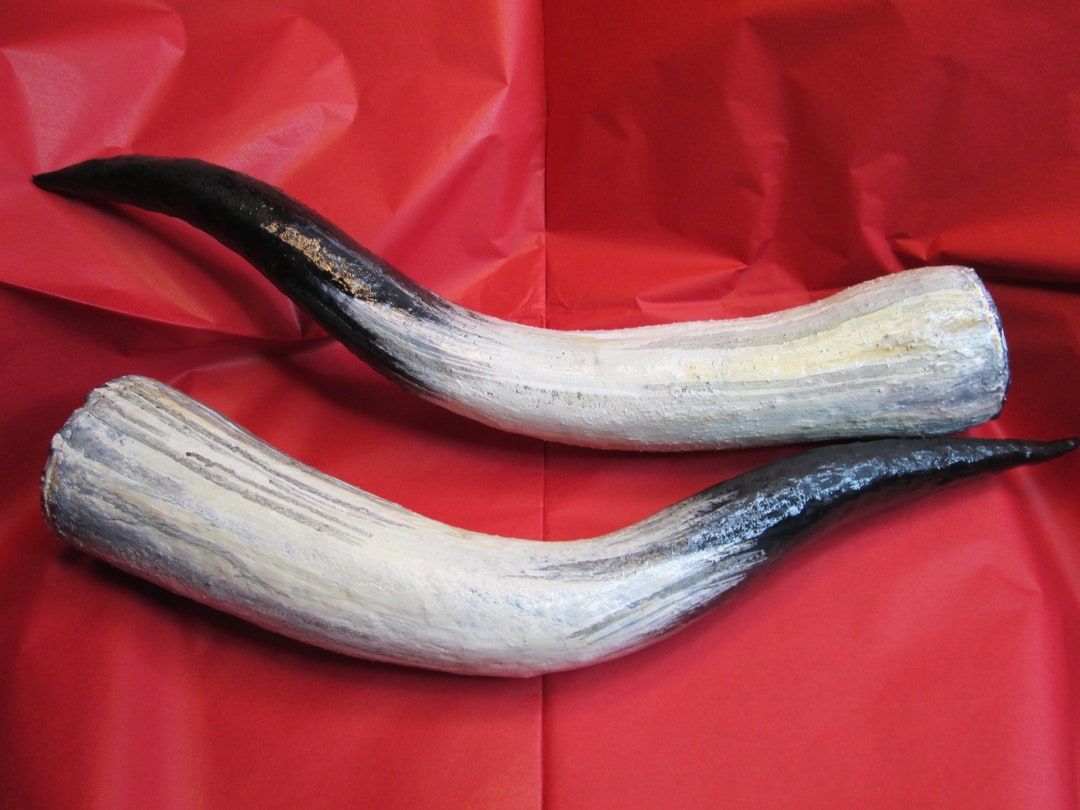 Cuernos de toro para disfraz, hechos a mano, cuernos de buey falsos ...