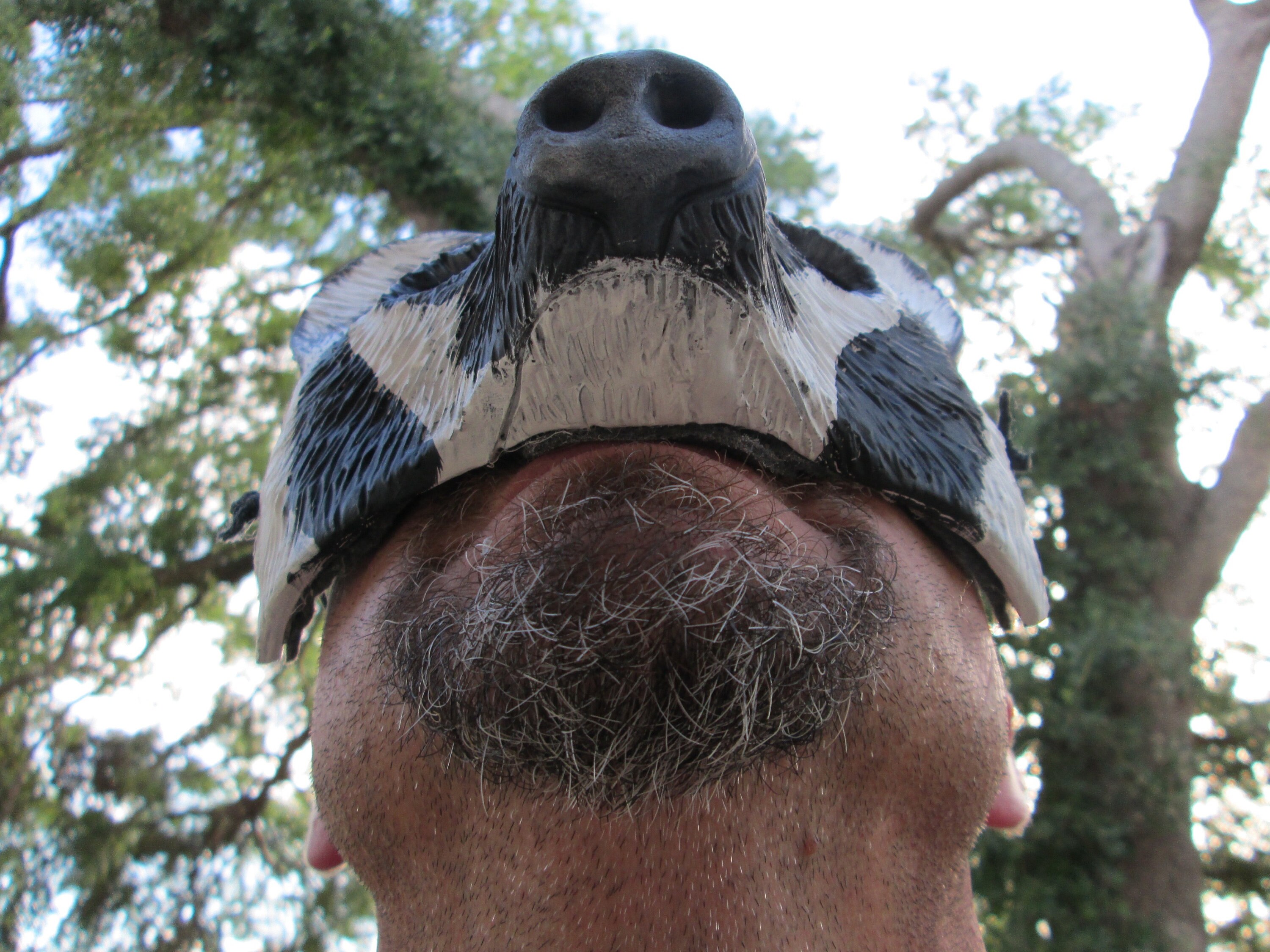 Hand Painted Badger Costume Mask: Wearable Wildlife Art - Etsy