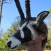 Handmade Gemsbok Costume Mask: Faux Antlers, Wildlife Art - Etsy