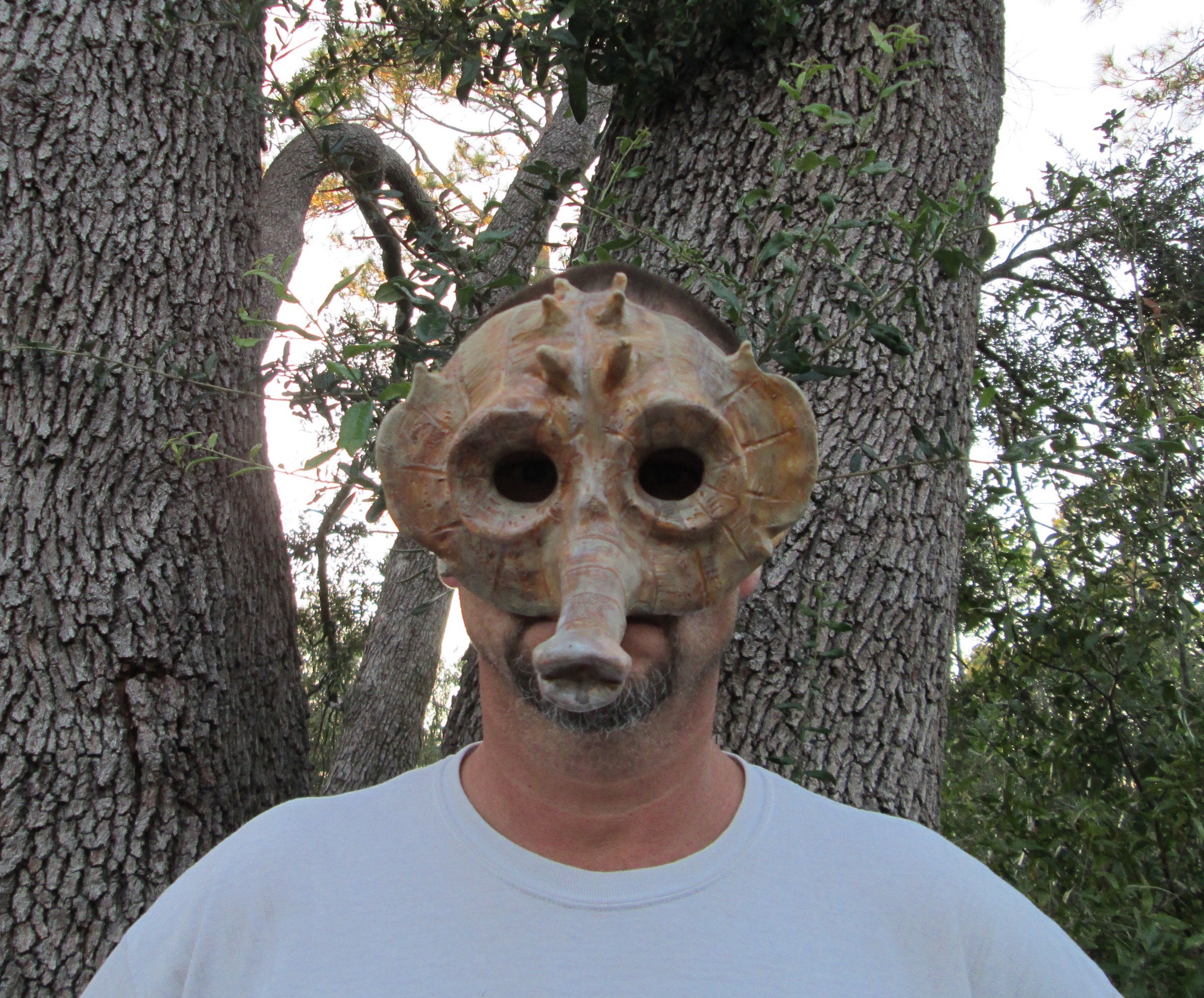 Seahorse Mask, Merman, Seahorse, Custom Made, Masquerade Mask, Costume ...