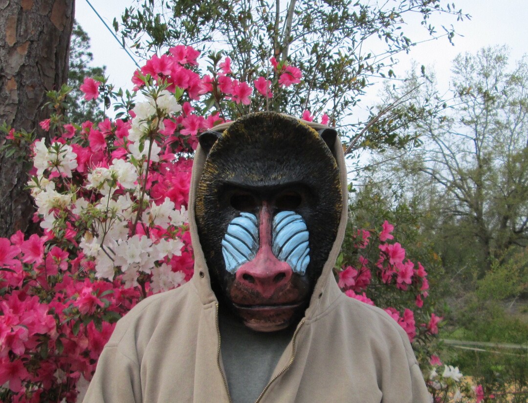 Mandrill Mask, Cercocebus Mangabeys, Primate Mask, Monkey Mask ...