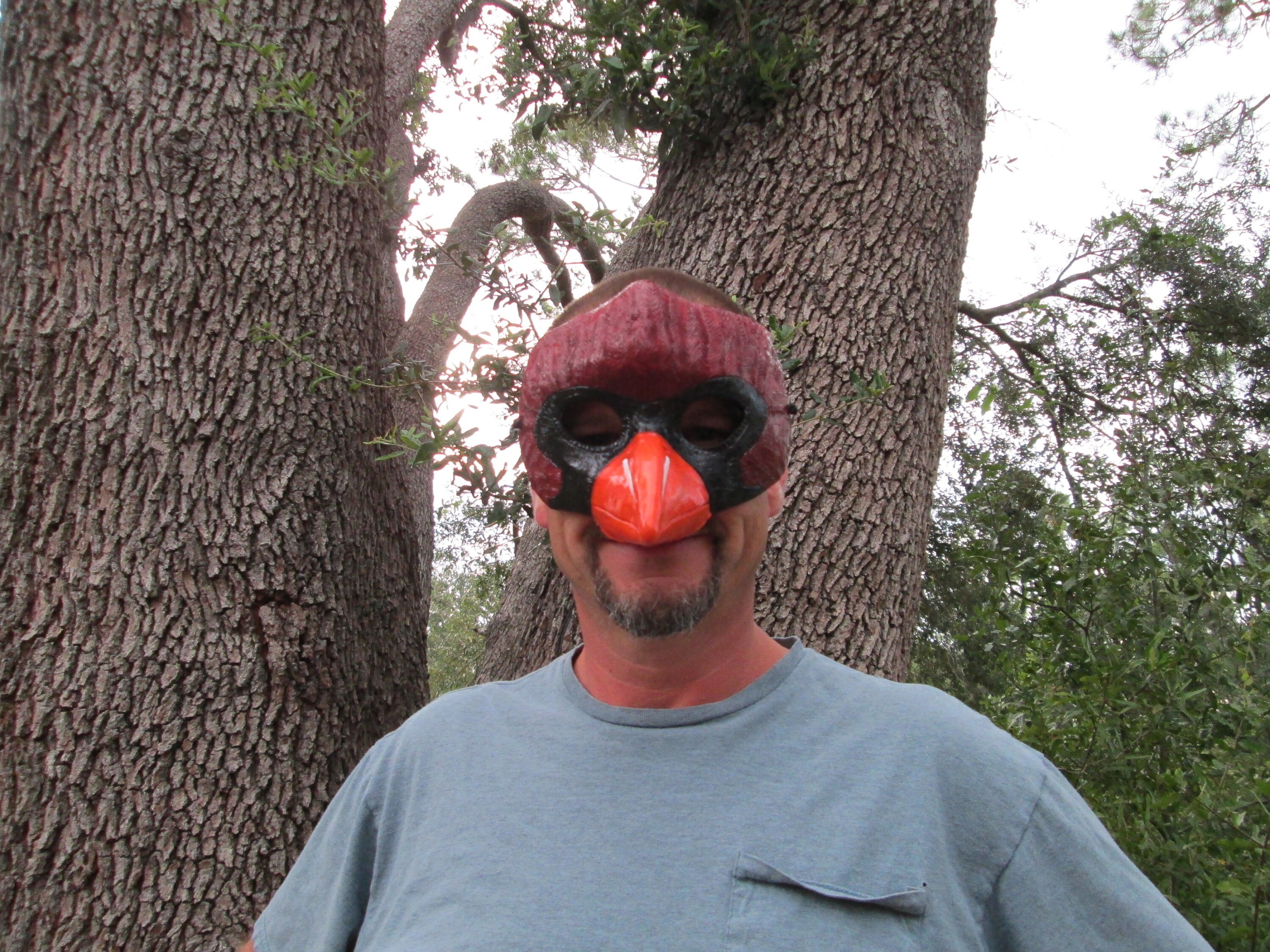 Redbird Cardinal mask Halloween mask red bird Cardinals | Etsy