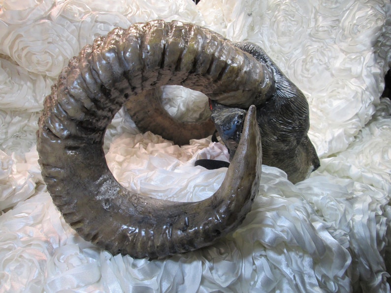 Aries Ram Mask Bighorn Masquerade Mask Horn Options | Etsy