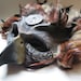 Gryphon Mask, Masquerade Ball, Griffon Mask, Larp, Ren Faire Mask ...