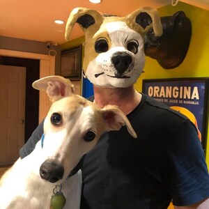 Whippet, Dog Costume Mask, Sculpture, Animal Art, Cute Dog Mask ...