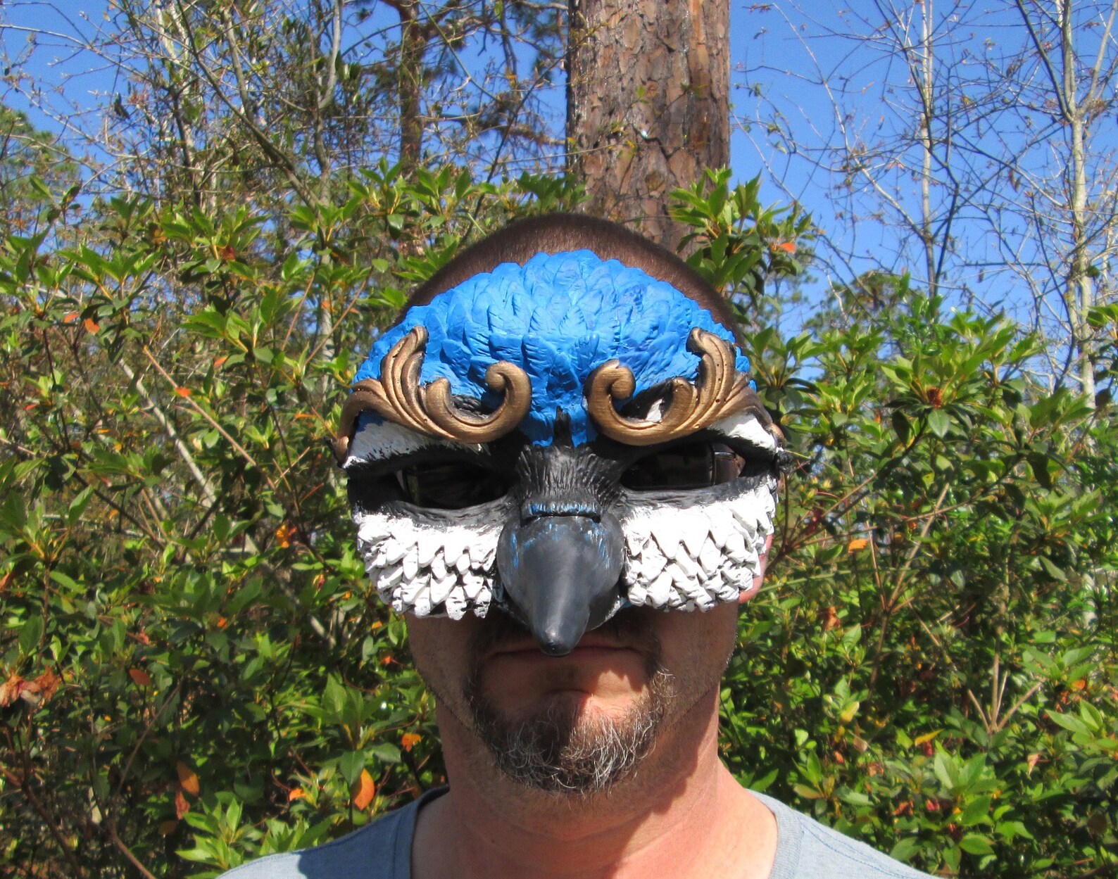 Bluejay mask Blue Bird mask masquerade mask costume mask | Etsy